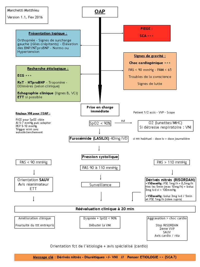 Protocole Oap | PDF | Médecine clinique | Physiologie