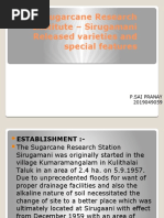 DUS Testing Guidelines for Rice | PDF | Agriculture | Conservation