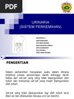 Pemahaman Tractus Urinaria dan Fisiologinya | PDF