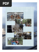 BOHOL Chocolate Hills | PDF