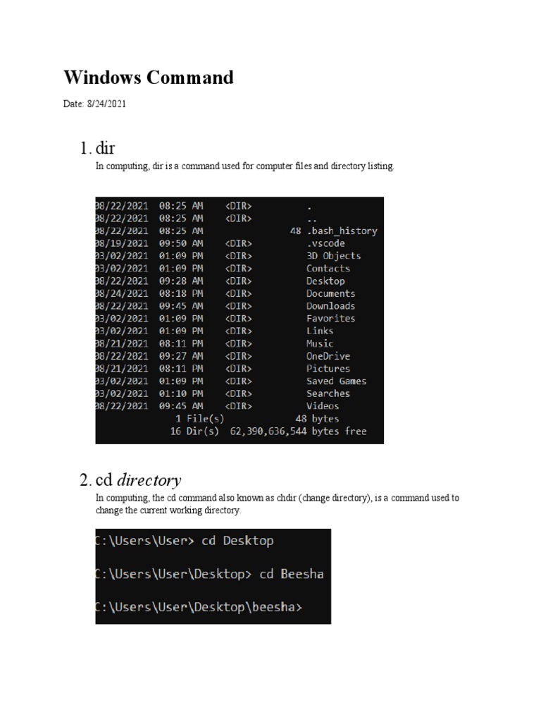 Essential Windows Commands Guide | PDF