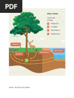 Fosfor: Definisi, Sifat, dan Fungsi | PDF