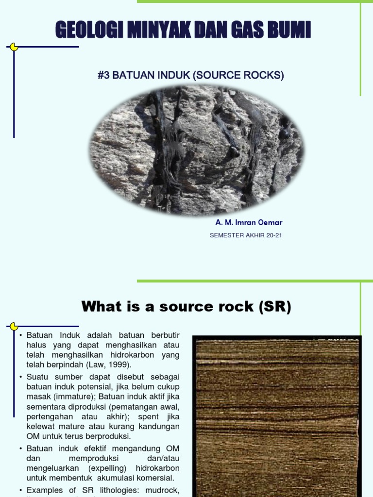 3a Batuan Induk Source Rocks | PDF