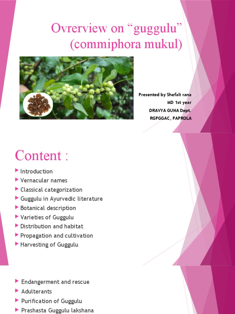 Commiphora Mukul Flower