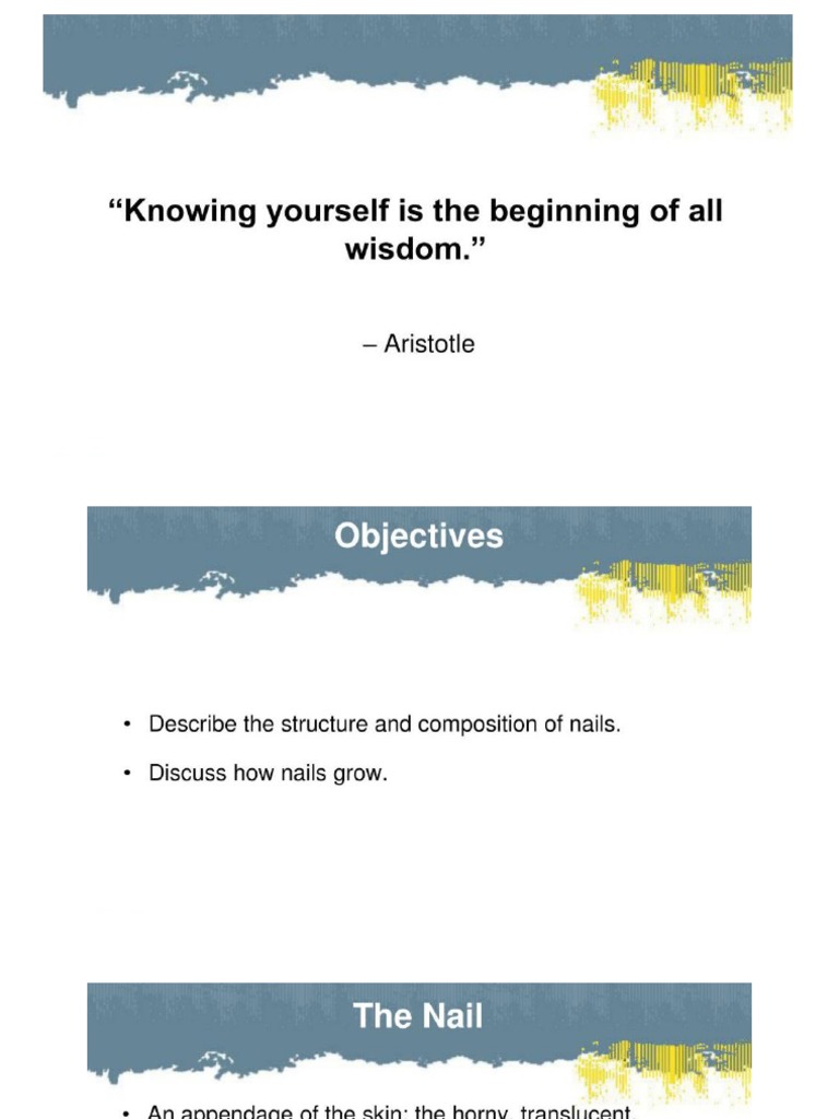 The Anatomy and Functions of Human Nails | PDF | Nail (Anatomy) | Foot