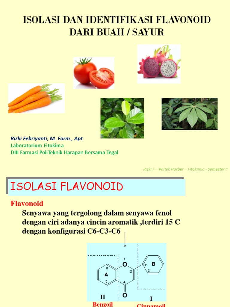 Isolasi Flavonoid Buah/Sayur | PDF