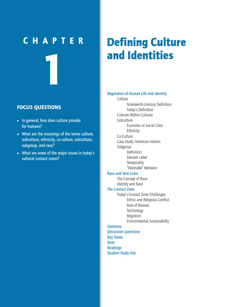 Defining Culture and Identities: Focus Questions | PDF