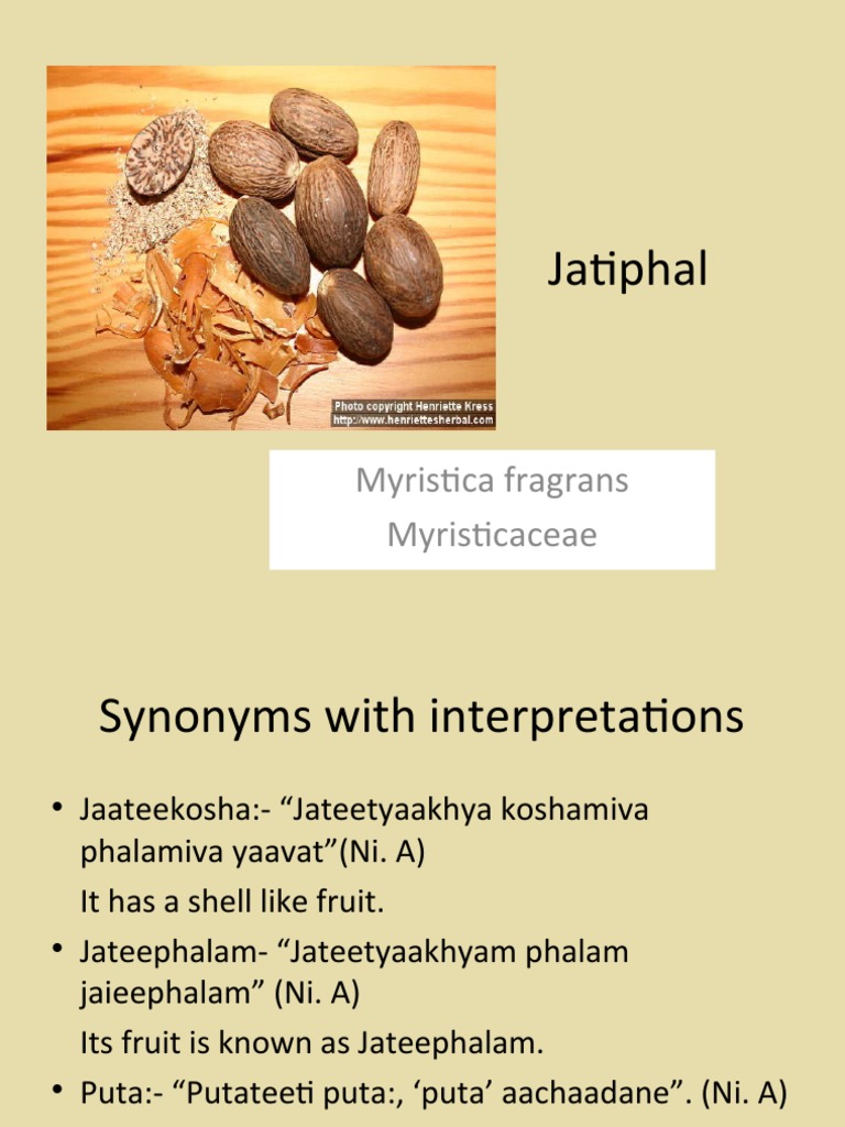 Jatiphal: Myristica Fragrans Myristicaceae | PDF | Fruit | Horticulture ...