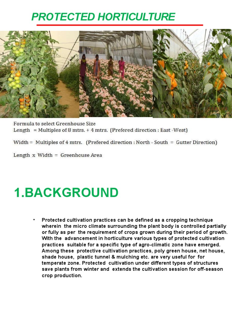 Protected Horticulture Techniques | PDF | Capsicum | Greenhouse