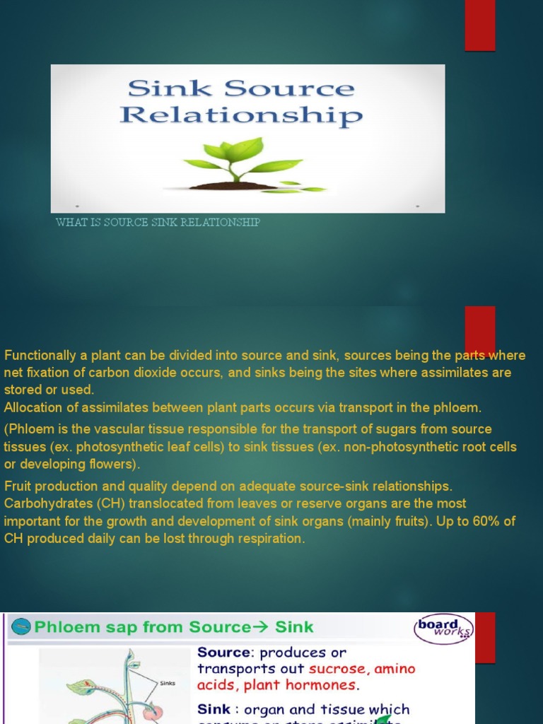 Source Sink Relationship | PDF | Science & Mathematics