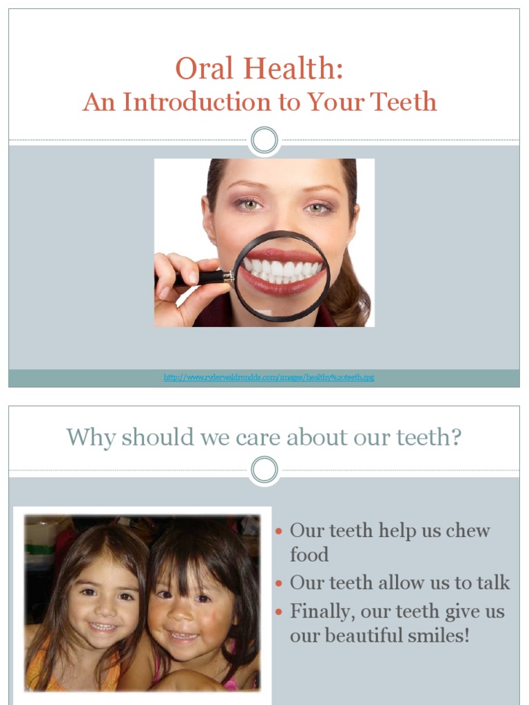 An Introduction To Your Teeth: Oral Health | PDF | Tooth | Mouth