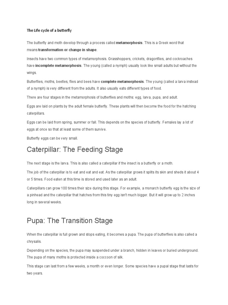 Life Cycle of A Butterfly | PDF | Pupa | Butterfly
