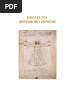 TO ΟΥΡΟΠΟΙΗΤΙΚΟ ΣΥΣΤΗΜΑ-ΑΝΑΤΟΜΙΑ | PDF