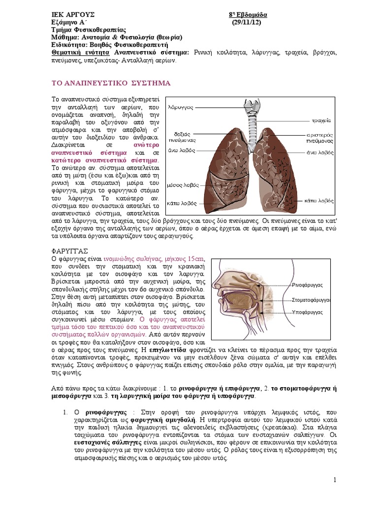αναπνευστικο συστημα | PDF