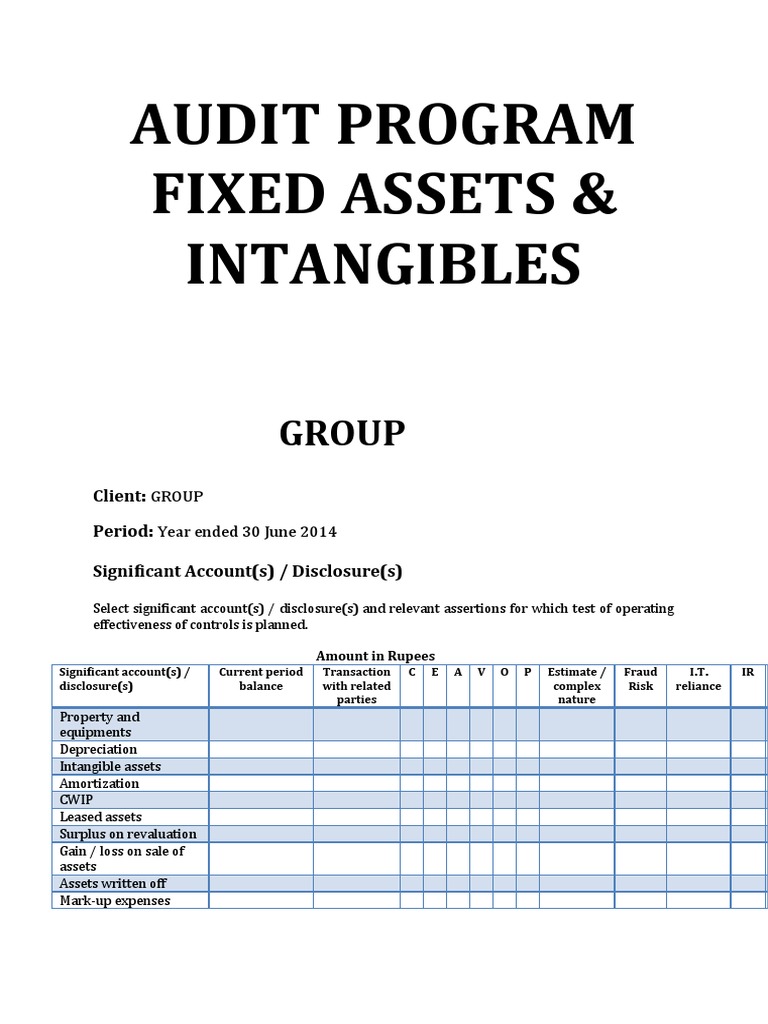 Fixed Assets and Intangibles Audit Guide | PDF | Intangible Asset ...