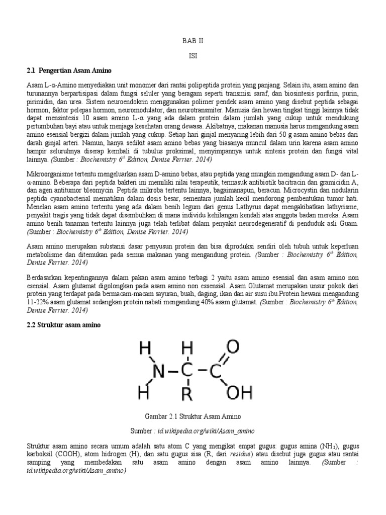 Asam Amino | PDF