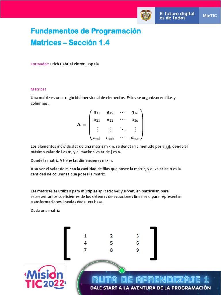 Matrices | PDF | Matriz (Matemáticas) | Matemáticas Aplicadas