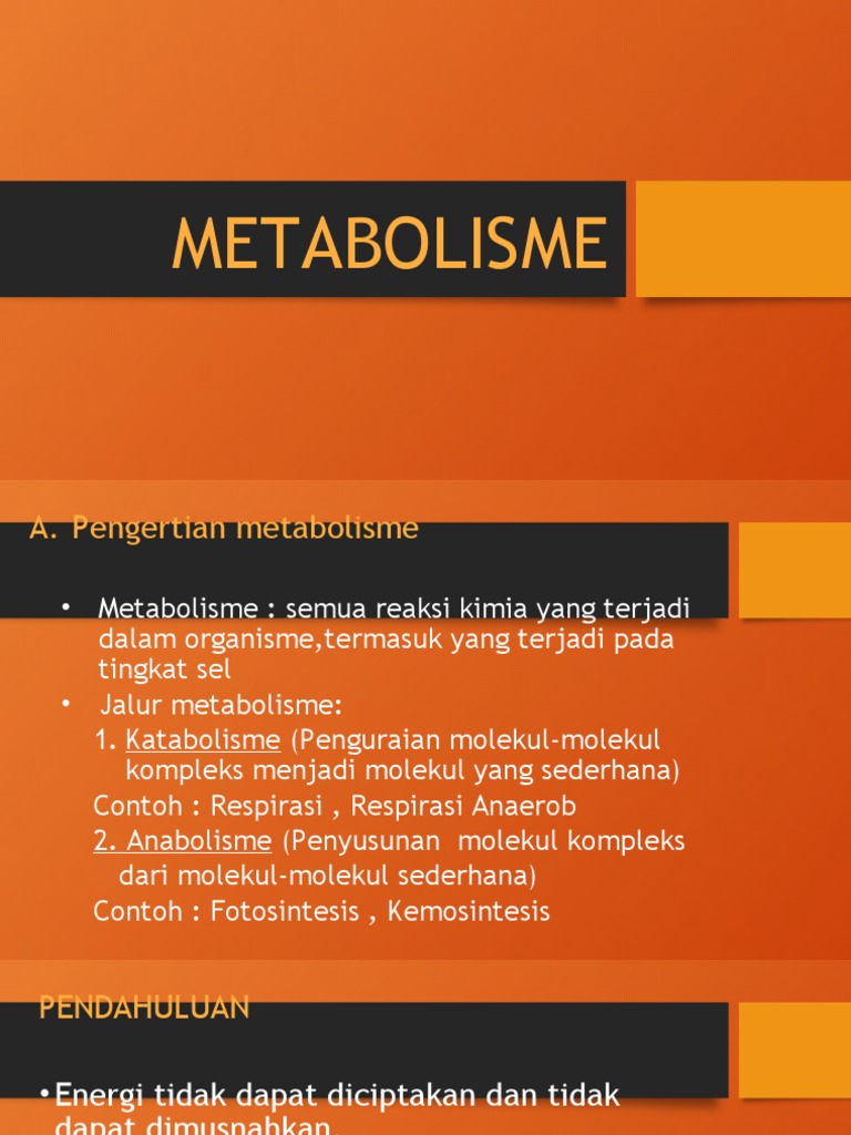 Materi Metabolisme 1 | PDF