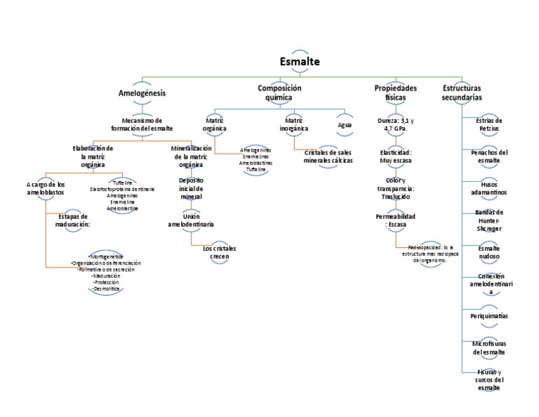 Caracteristicas Del Esmalte Dental | PDF | Esmalte de dientes | Naturaleza
