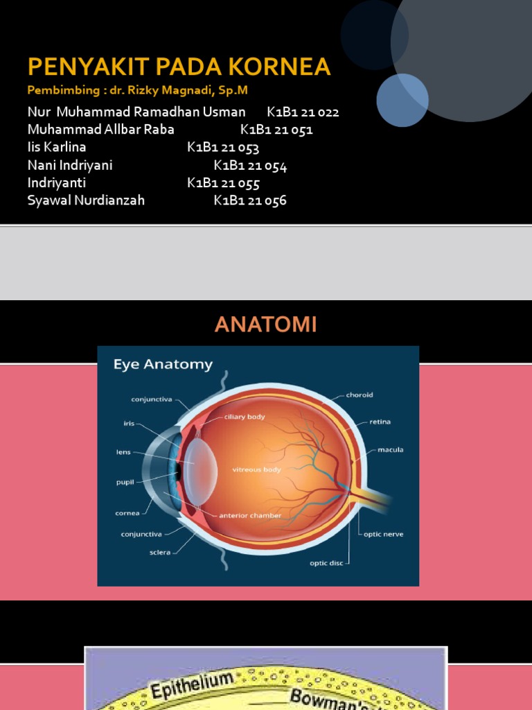 Penyakit Pada Kornea & Sklera | PDF
