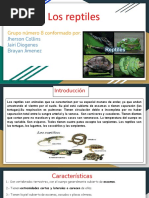 Biografía de Carlos Lineo | PDF | Eucariotas | Plantas