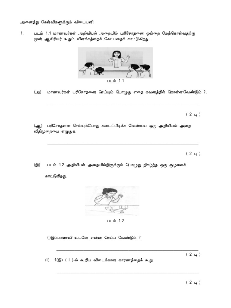 Science Year 4 Paper 2 | PDF | Western Calligraphy | Palaeography