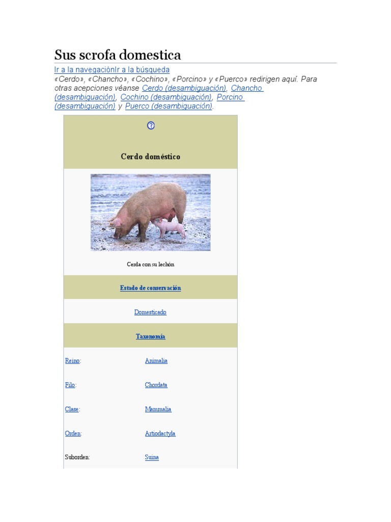 El cerdo doméstico: historia, características y crianza | PDF | Cerdo ...