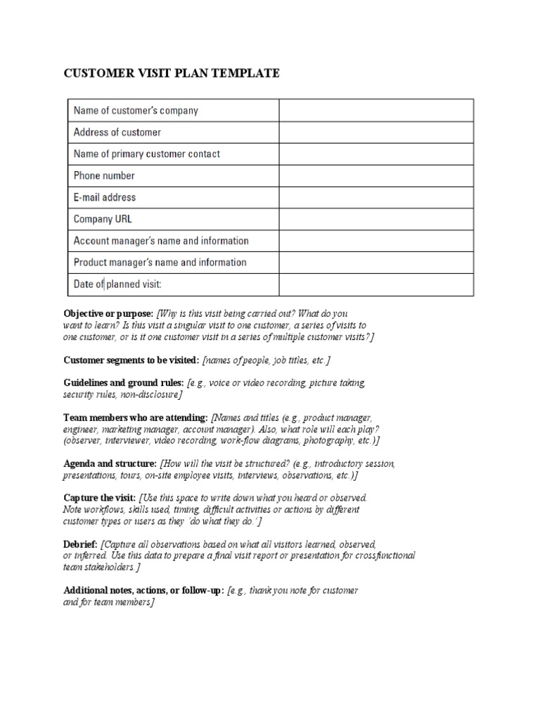 Customer Visit Plan Template | PDF
