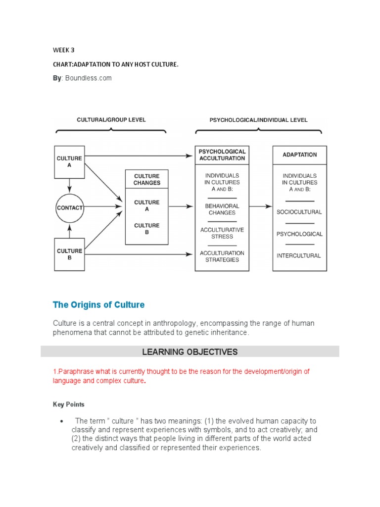 Week 3 Chart Adaptation Any Host Culture Isae 26504 0 | PDF ...