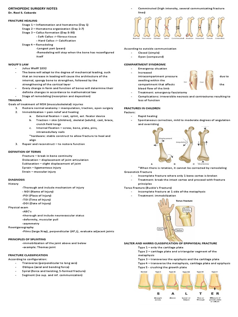 Orthopedic Surgery Notes | PDF | Spinal Cord | Ankle