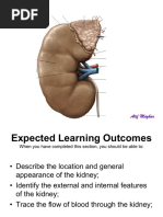 Reflexology Chart | PDF | Abdomen | Lymphatic System