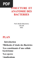 Cours Bactériologie | PDF | Bactérie | Cellule (Biologie)