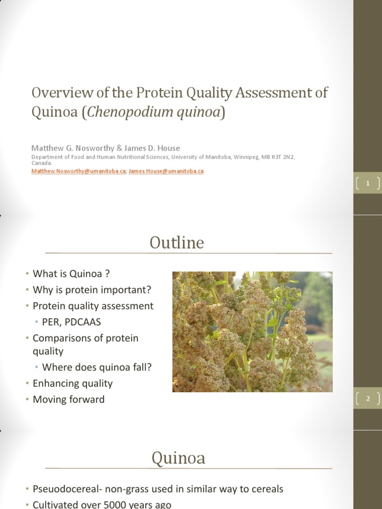 Overview of The Protein Quality Assessment of Quinoa (Chenopodium ...