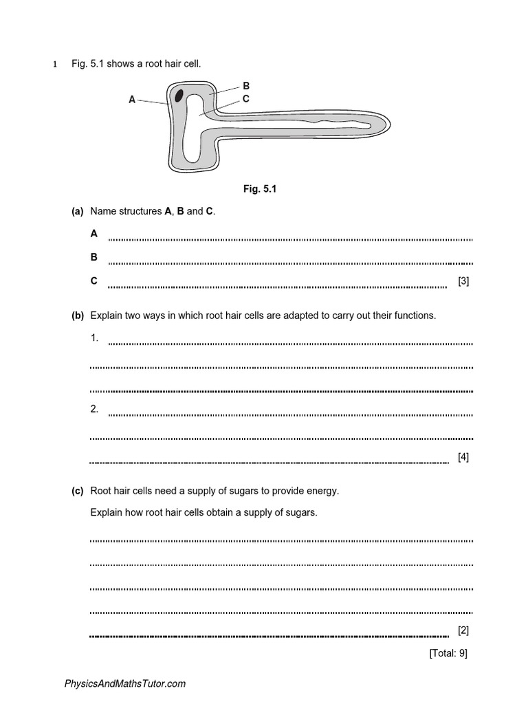Organisation of The Organism 3 QP | PDF | Cell (Biology) | Bacteria