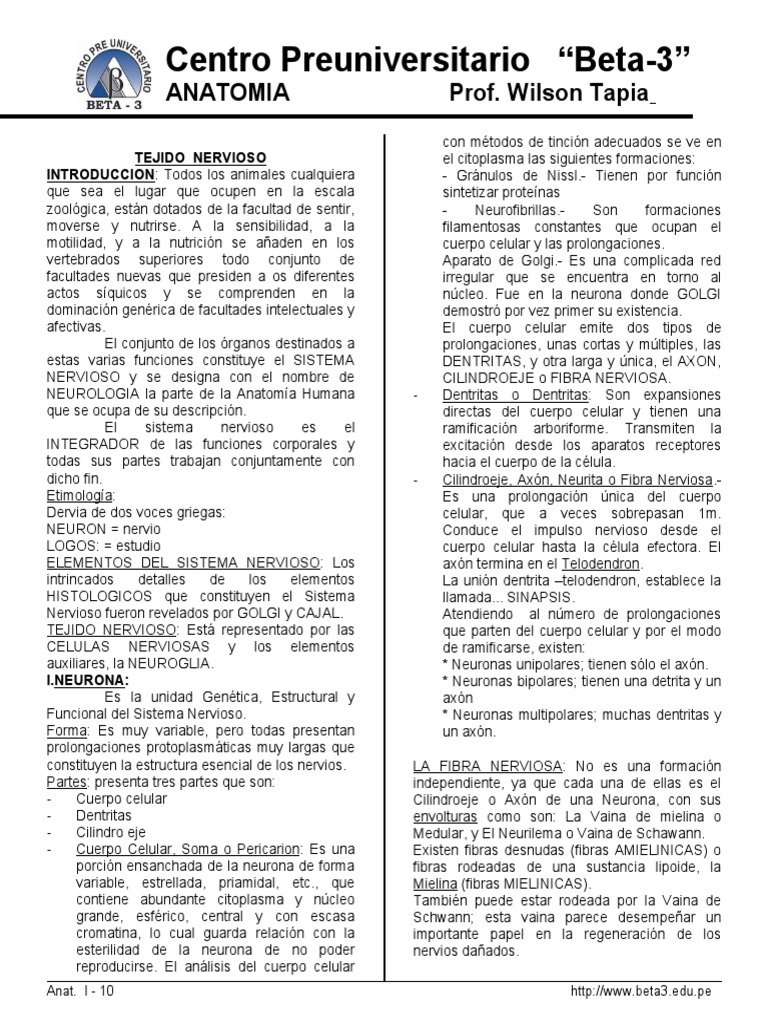 Centro Preuniversitario "Beta-3": Anatomia Prof. Wilson Tapia | PDF ...
