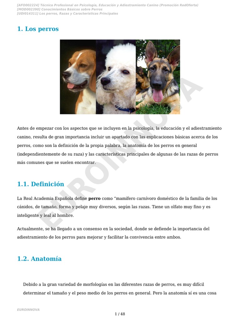 Guía de Razas y Anatomía Canina | PDF | Boxer (Perro) | Razas de perros