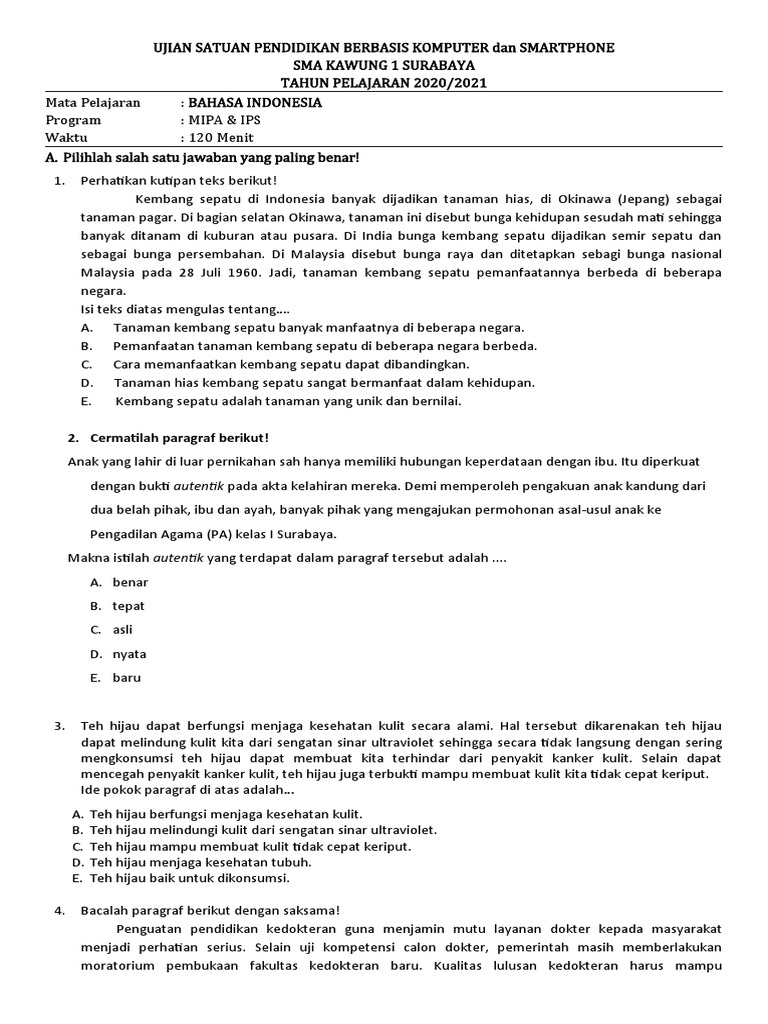 Usp-Bks Bahasa Indonesia | PDF