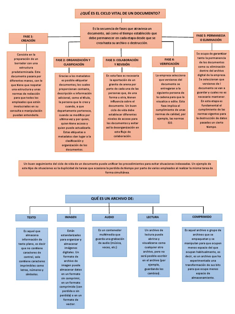 Mapa Conceptual | PDF | Archivo de computadora | Documento