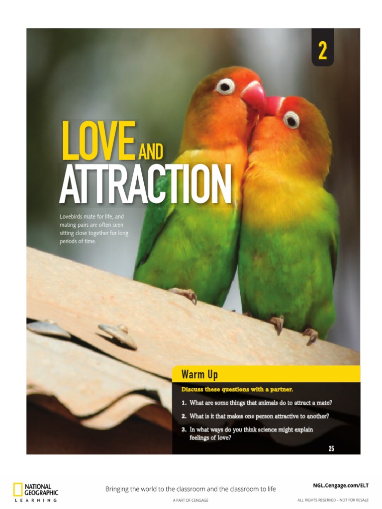 Unit2 - Love, A Chemical Reaction (Textbook) | PDF | Romance (Love) | Love