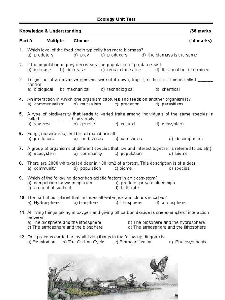 Understanding Ecology: An Analysis of Key Concepts Covered in an ...