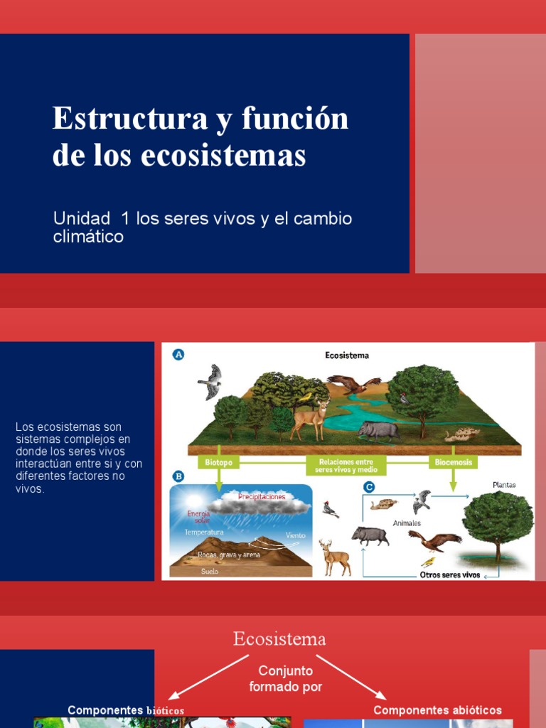 Estructura y Funcion de Los Ecosistemas | PDF | Ecosistema | Ecología