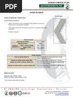 Ficha Tecnica Anillos RTJ | PDF