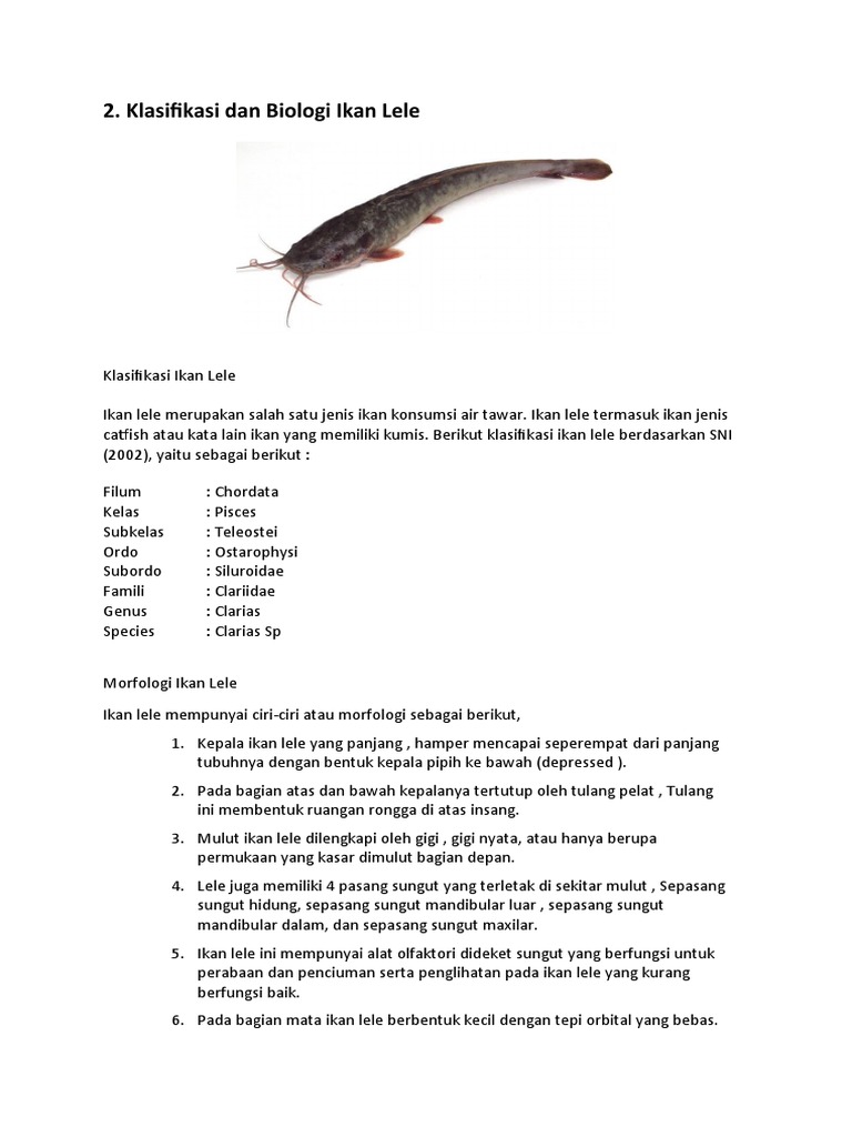 KLASIFIKASI DAN BIOLOGI IKAN LELE | PDF