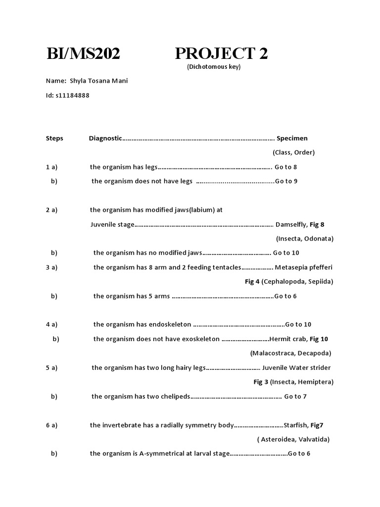 Invertebrate Dichotomous Key Project | PDF | Invertebrate | Zoology