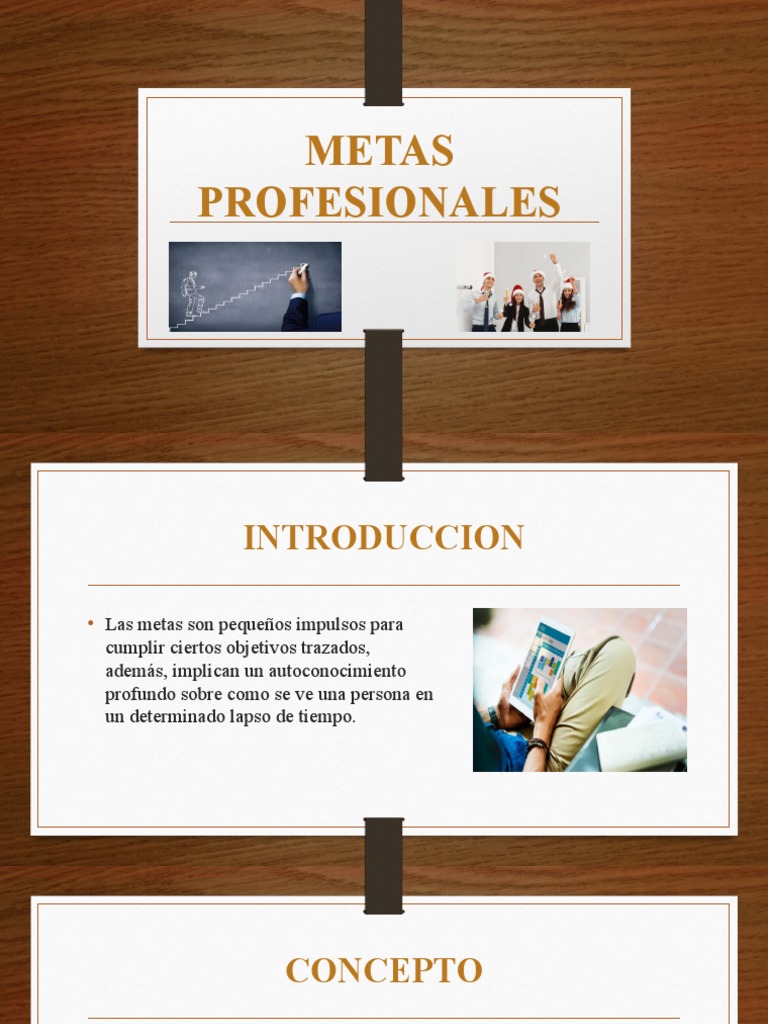 Metas Profesionales | PDF