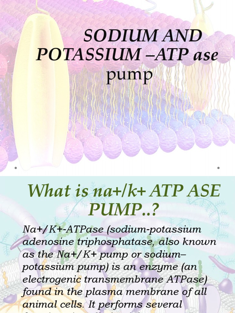 Sodium and Potassium - Atp Ase Pump | PDF | Signal Transduction | Cell ...