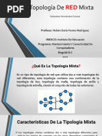 Topología Mixta: Ventajas y Desventajas | PDF | Topología de la red ...