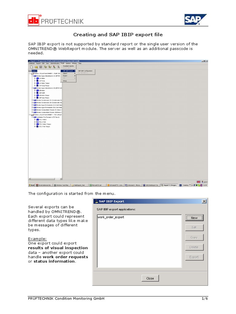 Creating and SAP IBIP Export File | PDF | Computer File | File Format