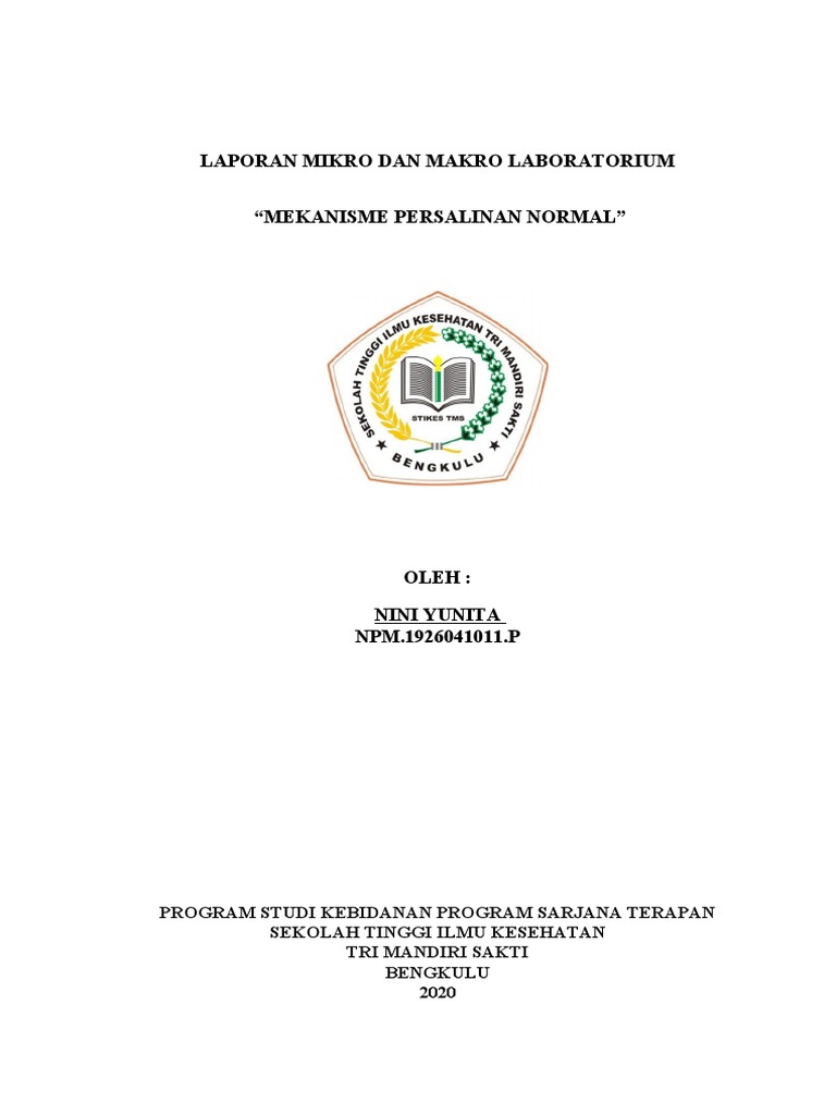 Materi Dan Sap, RPP, Daptr Tilik Mekanisme Persalinan Normal | PDF