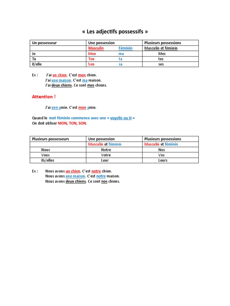 Les Adjectifs Possessifs A1-3 | PDF